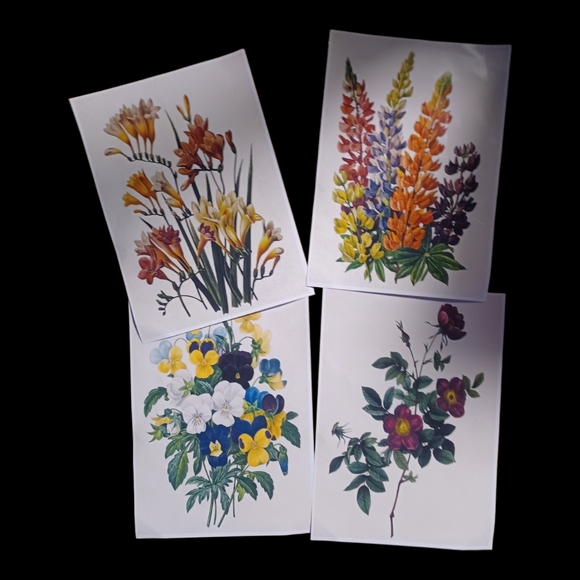 Wall Decor | Antique Flower Poster Prints New | Poshmark